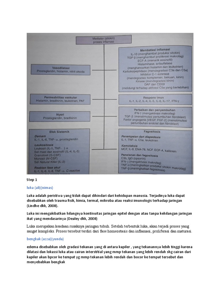 Ali Sofyan M - LBM 2 - 30102100016 | PDF