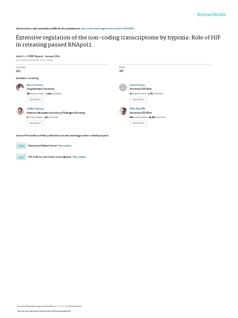 Extensive Regulation of The Non-Coding Transcripto | PDF | Regulation Of Gene Expression ...