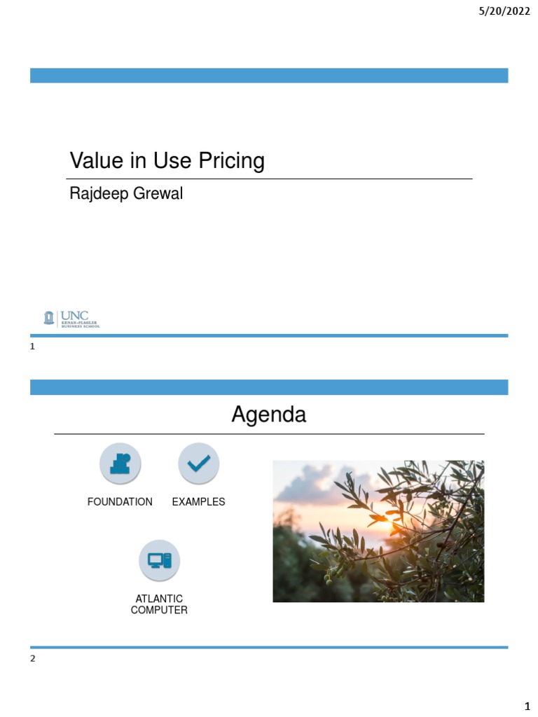 Value in Use Pricing PDF | PDF | Pricing | Business Economics