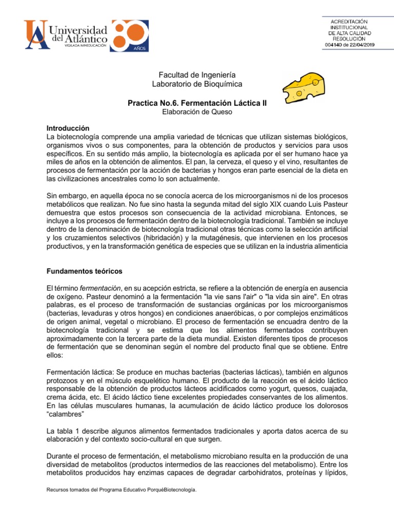 Practica No. 6. Fermentación Láctica Queso | PDF | Fermentación | Queso