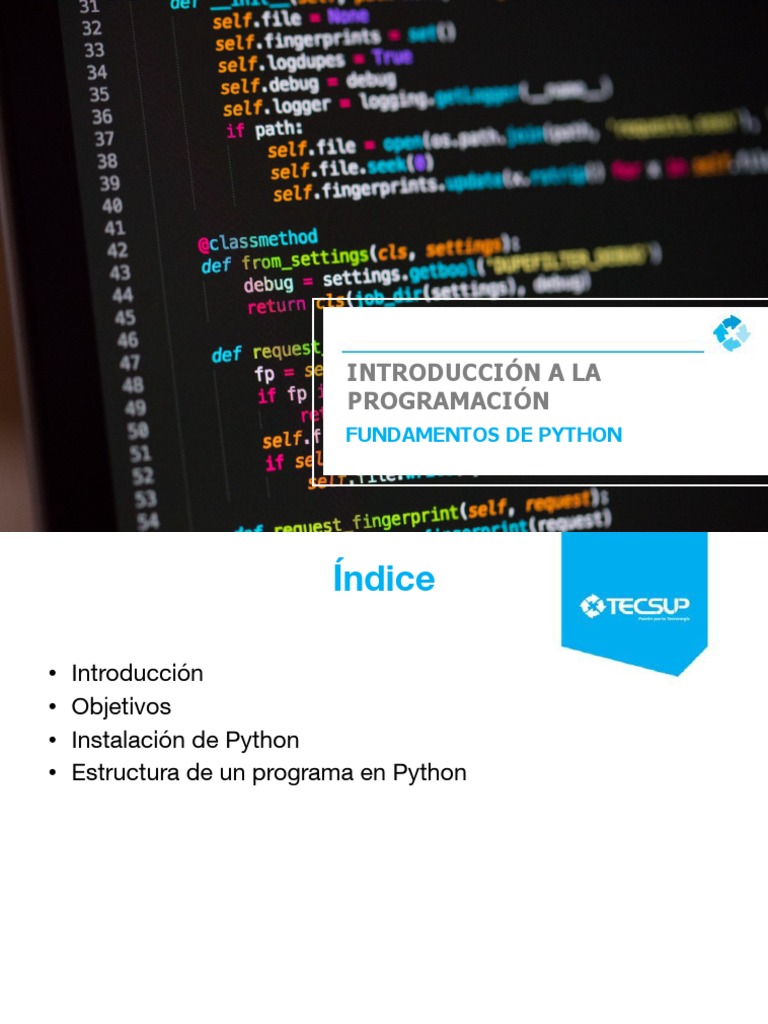 Fundamentos De Python Pdf Python Lenguaje De Programación Programación De Computadoras