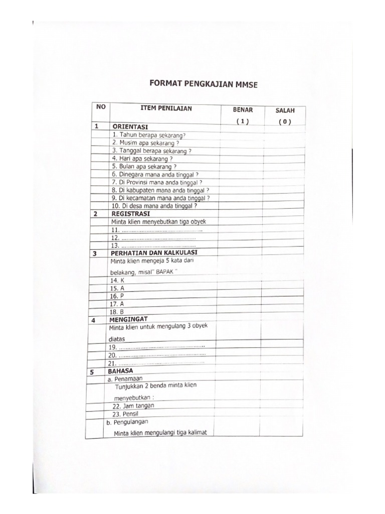 Format Pengkajian Mmse | PDF