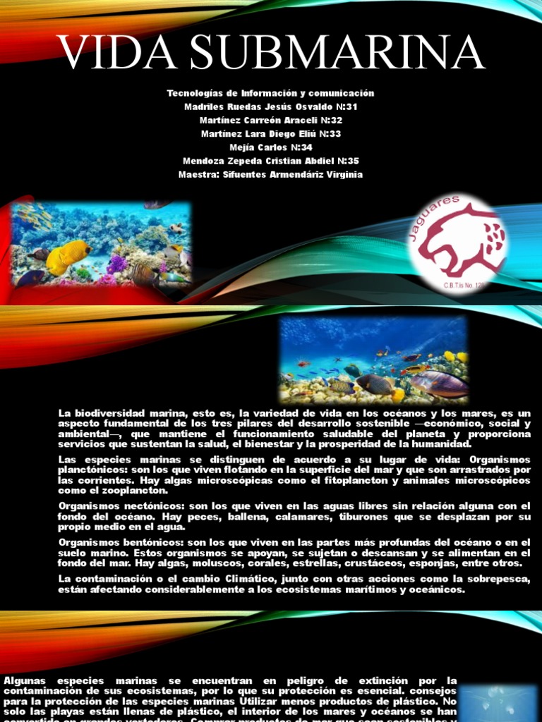 Vida Submarina | PDF | Mar | Océanos