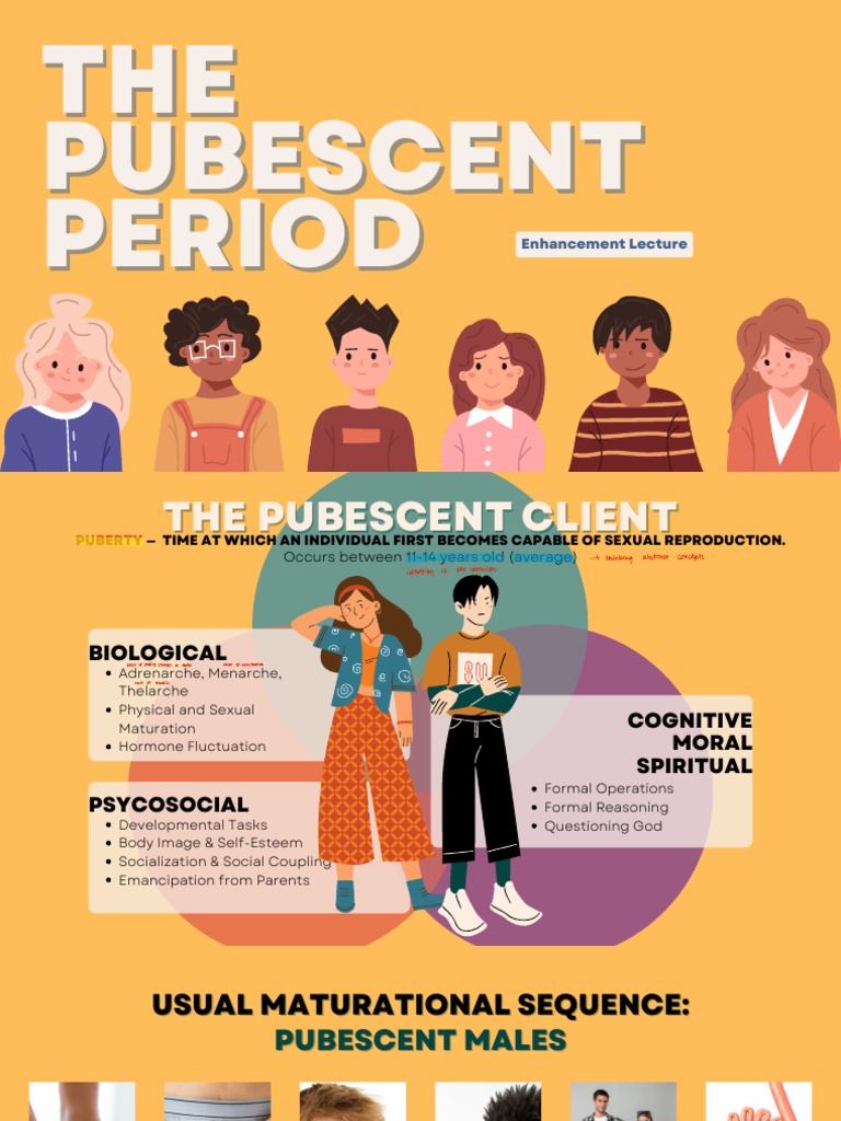 The Pubescent Period 1M | PDF | Puberty | Sexual Reproduction