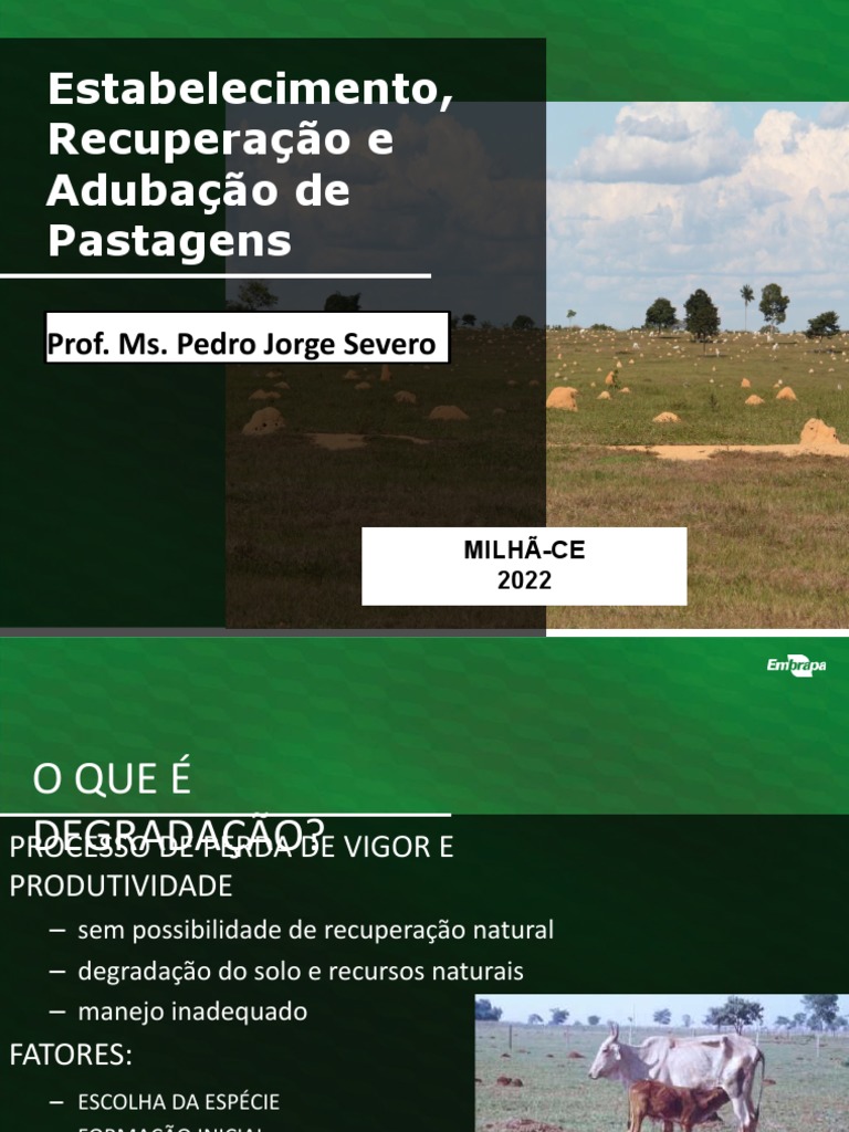 Formação e Adubação de Pastagem | PDF | Fertilizante | Agricultura