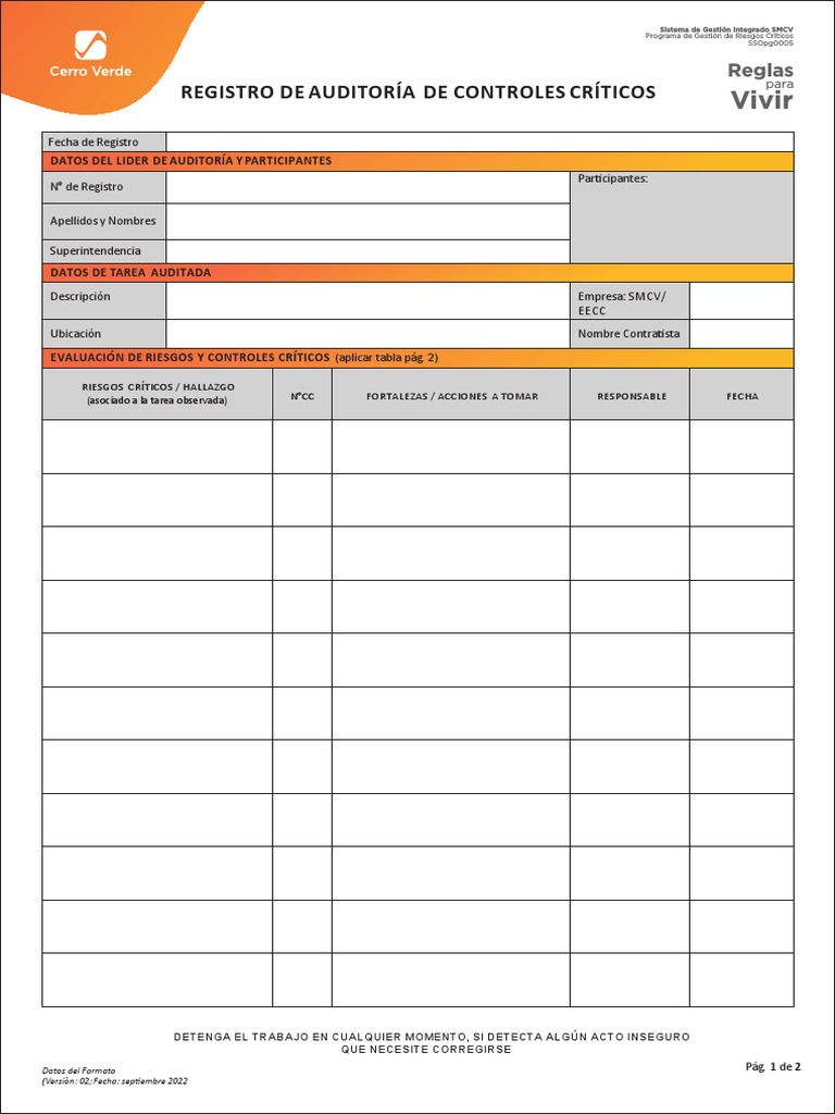 Formato 1 - Auditoria Controles Criticos - v02 | PDF | Auditoría