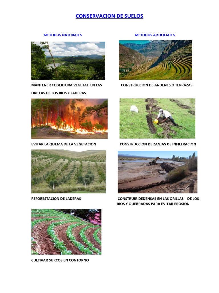 Técnicas de Conservación del Suelo | PDF