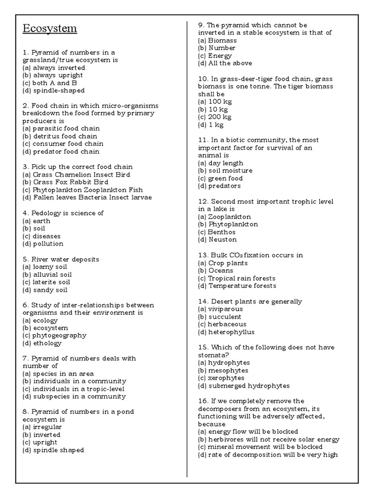 Ecosystem | PDF | Ecosystem | Primary Production
