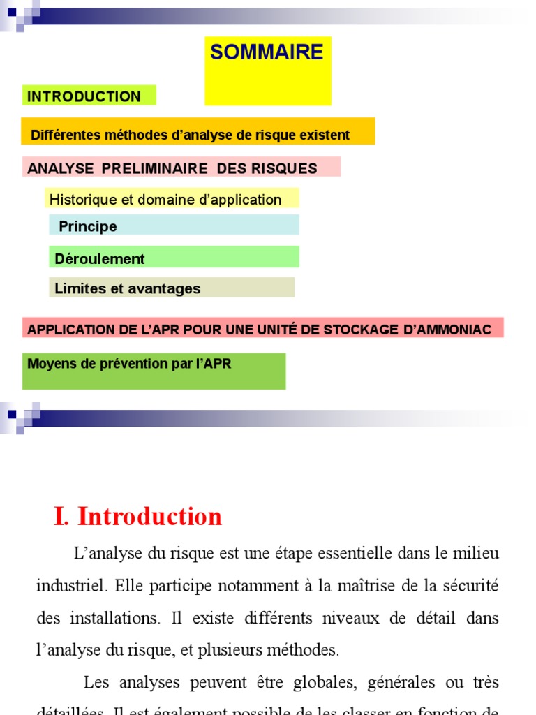 Sommaire: Historique Et Domaine D'application | PDF | Risque | Gestion des risques