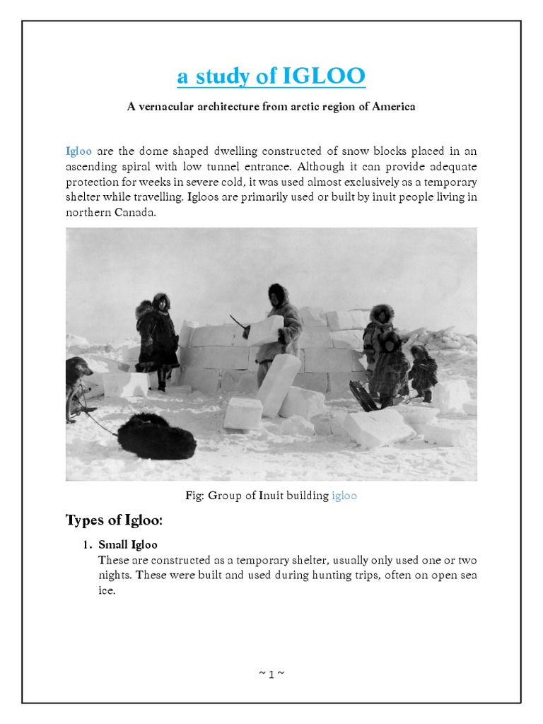 A Study of Igloo | PDF