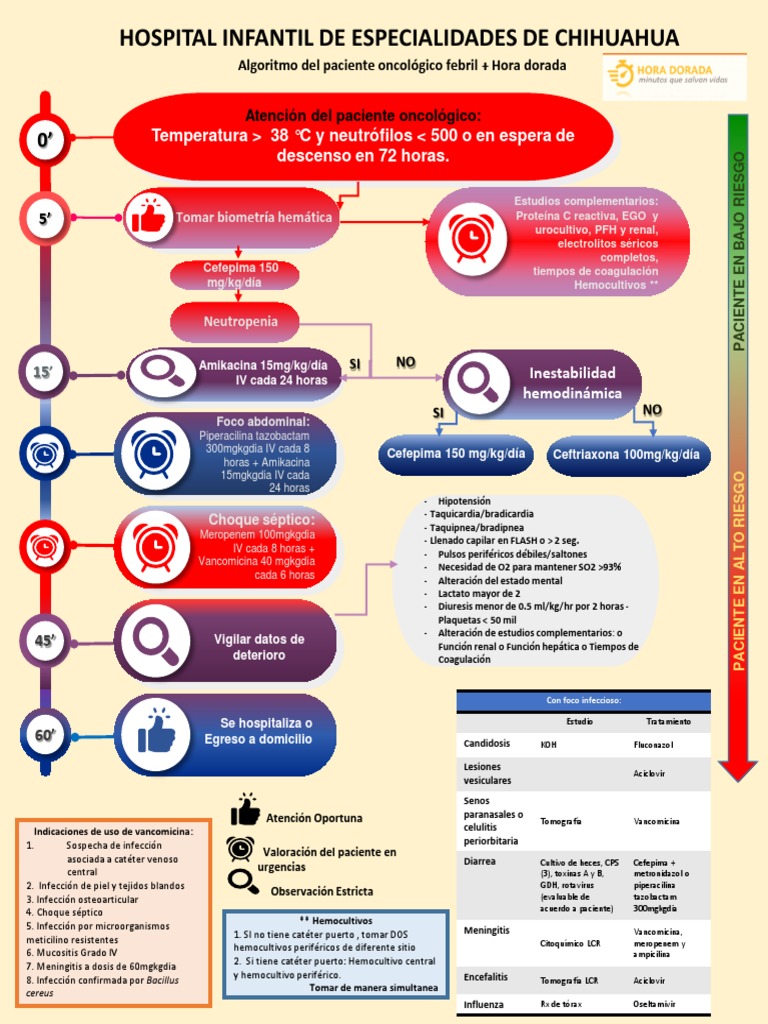 Hora Dorada | PDF | Medicina CLINICA | Especialidades Medicas
