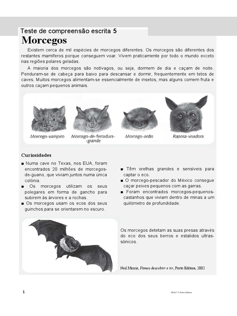 Teste Compreensão Escrita - Morcegos | PDF | Morcego | Organismos