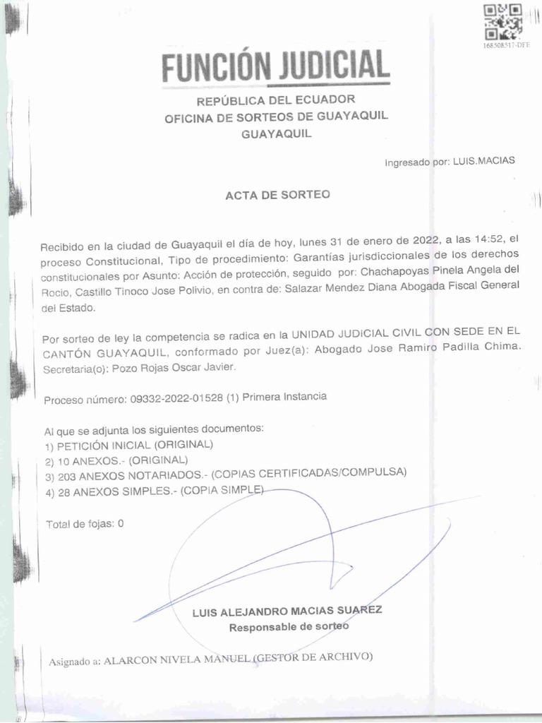 Modelo De Accion De Protección Pdf