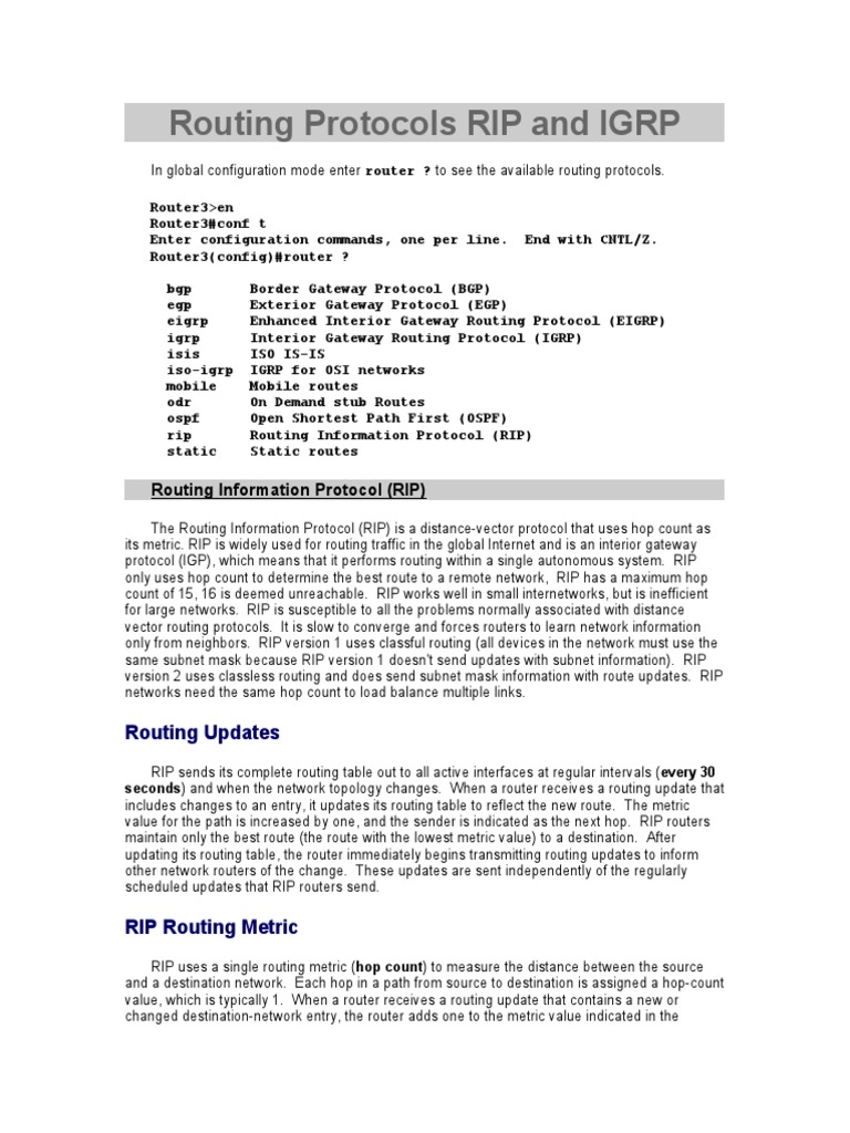 Routing Protocols Rip And Igrp Pdf Routing Router Computing