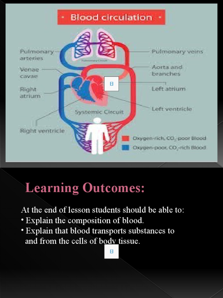 Circulation of Blood Lesson # 2 | PDF | Blood | Blood Cell