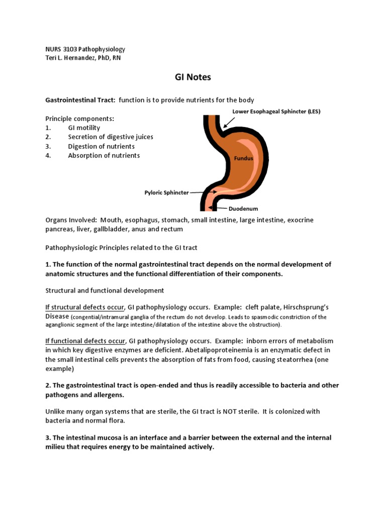 Gi Notes: Nurs 3103 Pathophysiology Teri L. Hernandez, PHD, RN | PDF ...