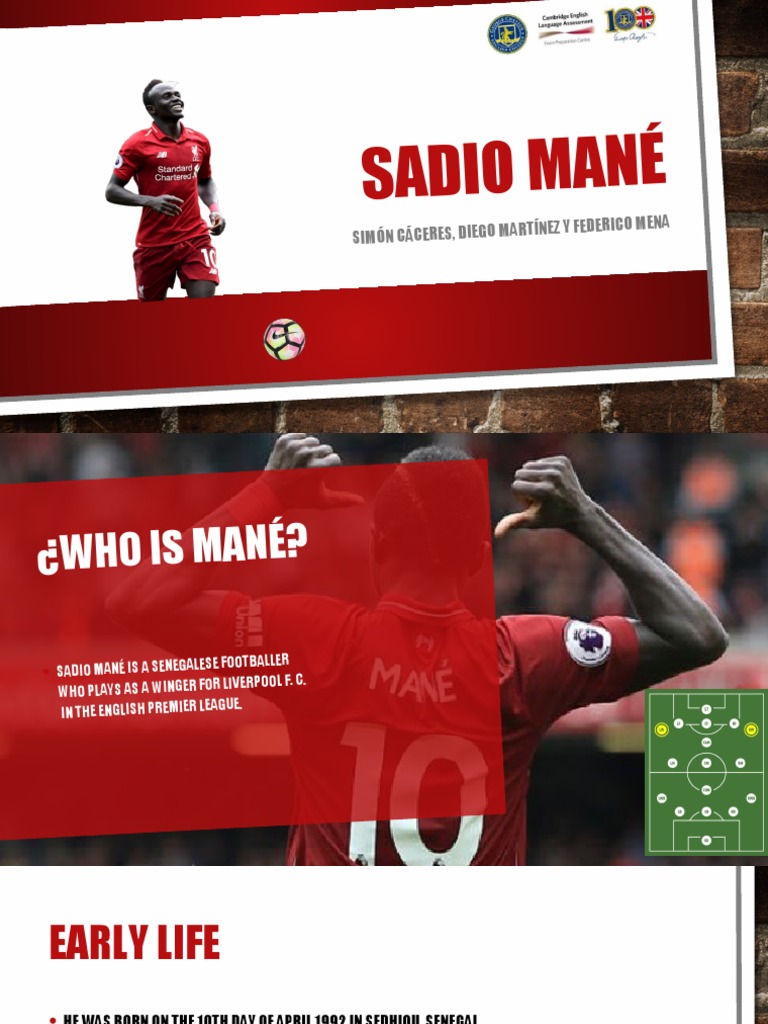 Sadio Mané | Download Free PDF | Association Football Clubs | Premier League Clubs