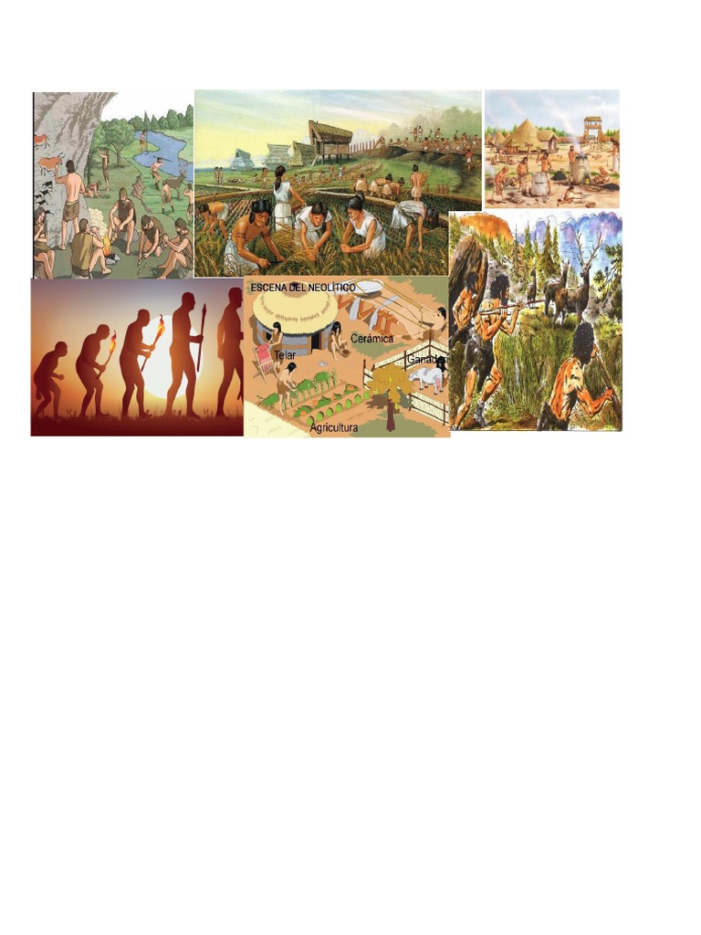 Collague Trabajo Evolucion | PDF