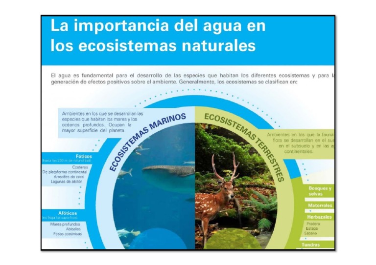 Infografia Ecosistemas Naturales | PDF