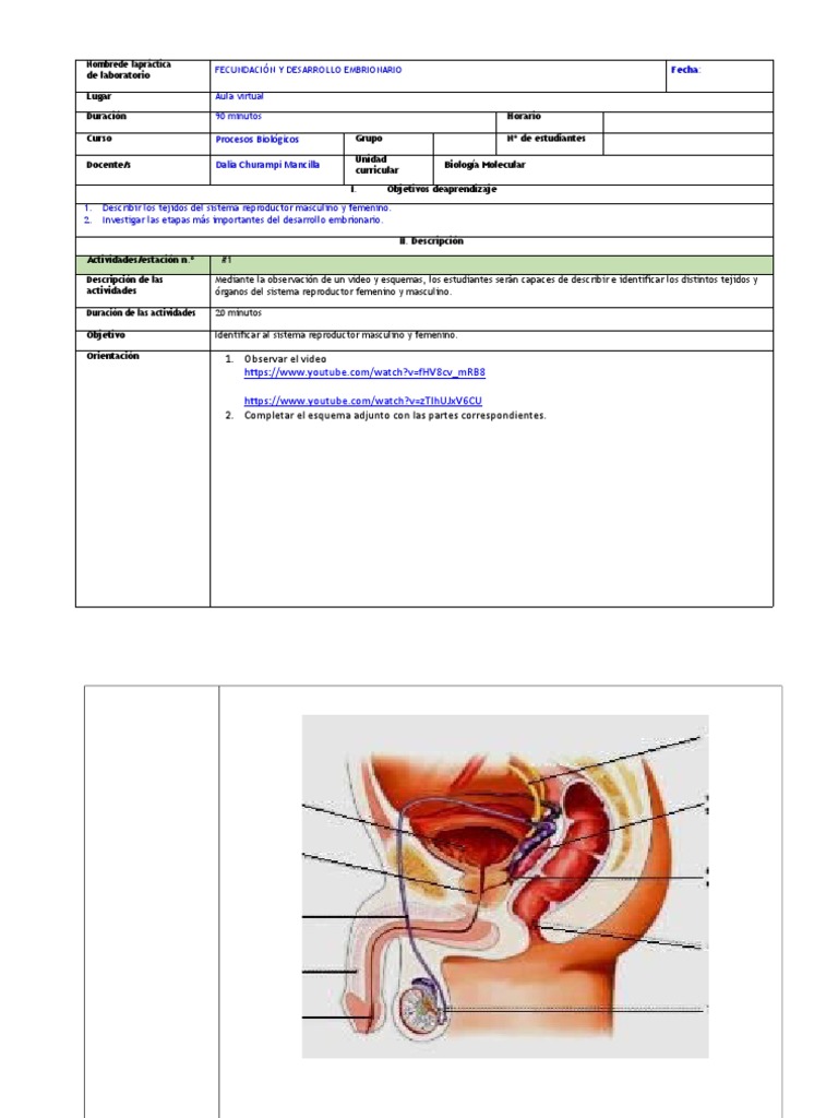 Práctica #14 Des Emb | PDF | Biología | Ciencias de la vida