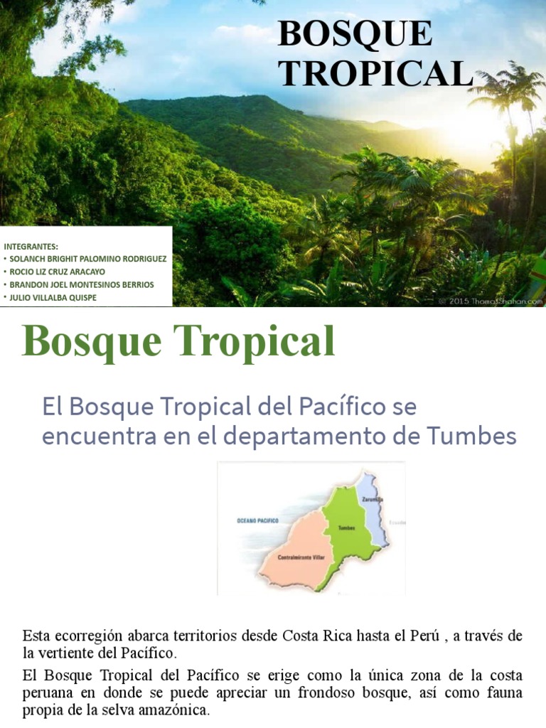 Relieve y fauna del bosque tropical pacífico | PDF