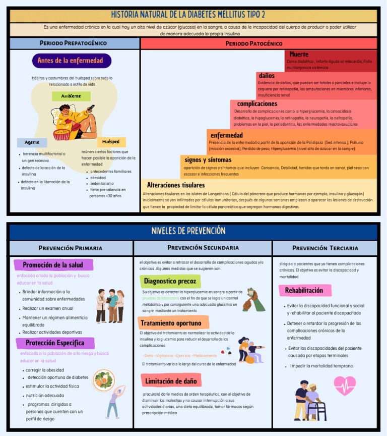 Historia Natural de Diabetes Mellitus Tipo 2 | PDF | Diabetes ...