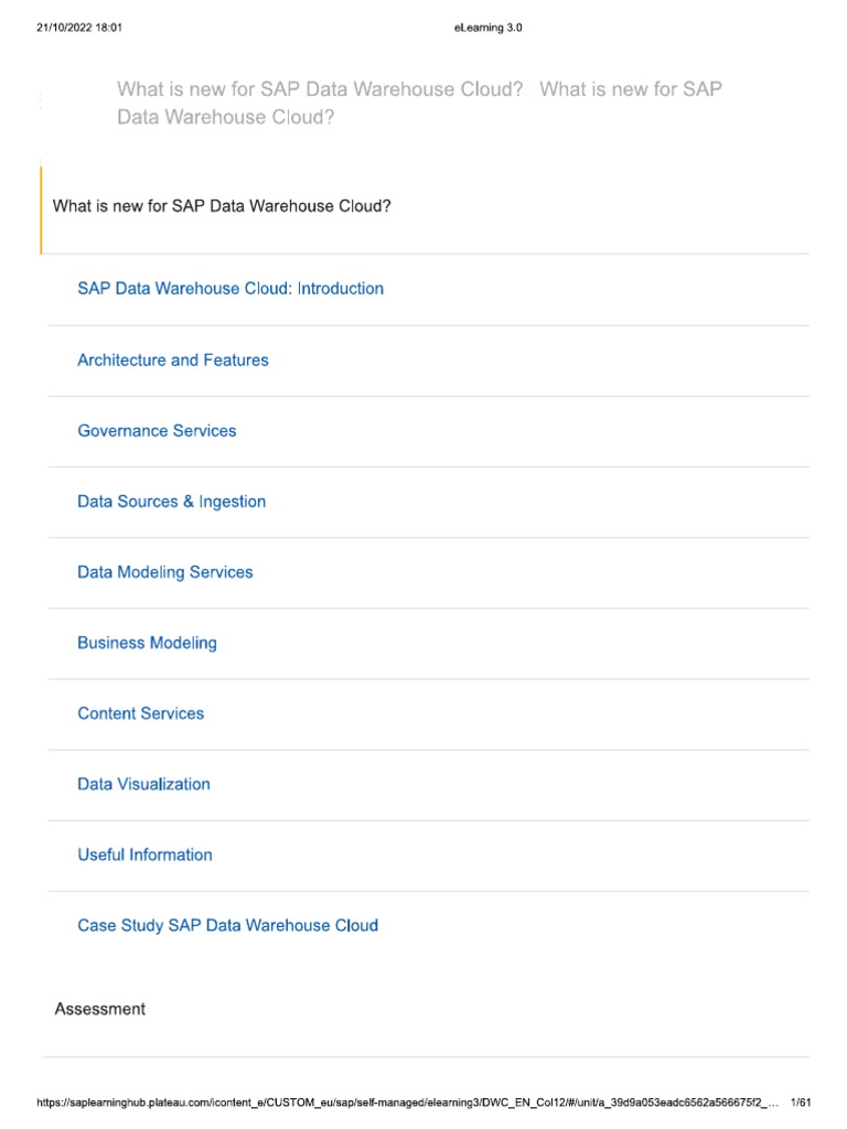 Sap DWC Basics | PDF