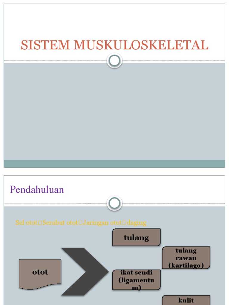 Sistem Muskuloskeletal | PDF