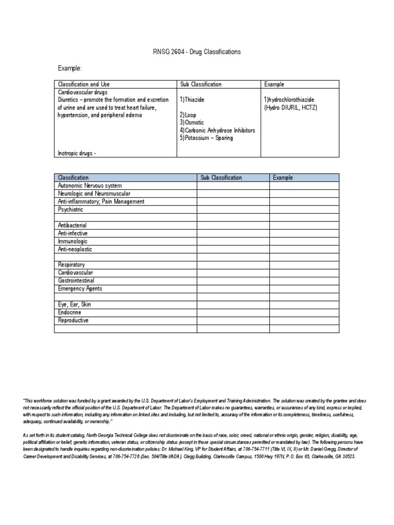 RNSG 2604 Drug Classification Worksheet | PDF | Medicine | Health Care