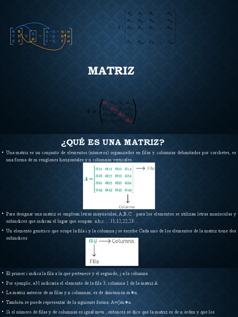 Matrices | Descargar gratis PDF | Matriz (Matemáticas) | Determinante