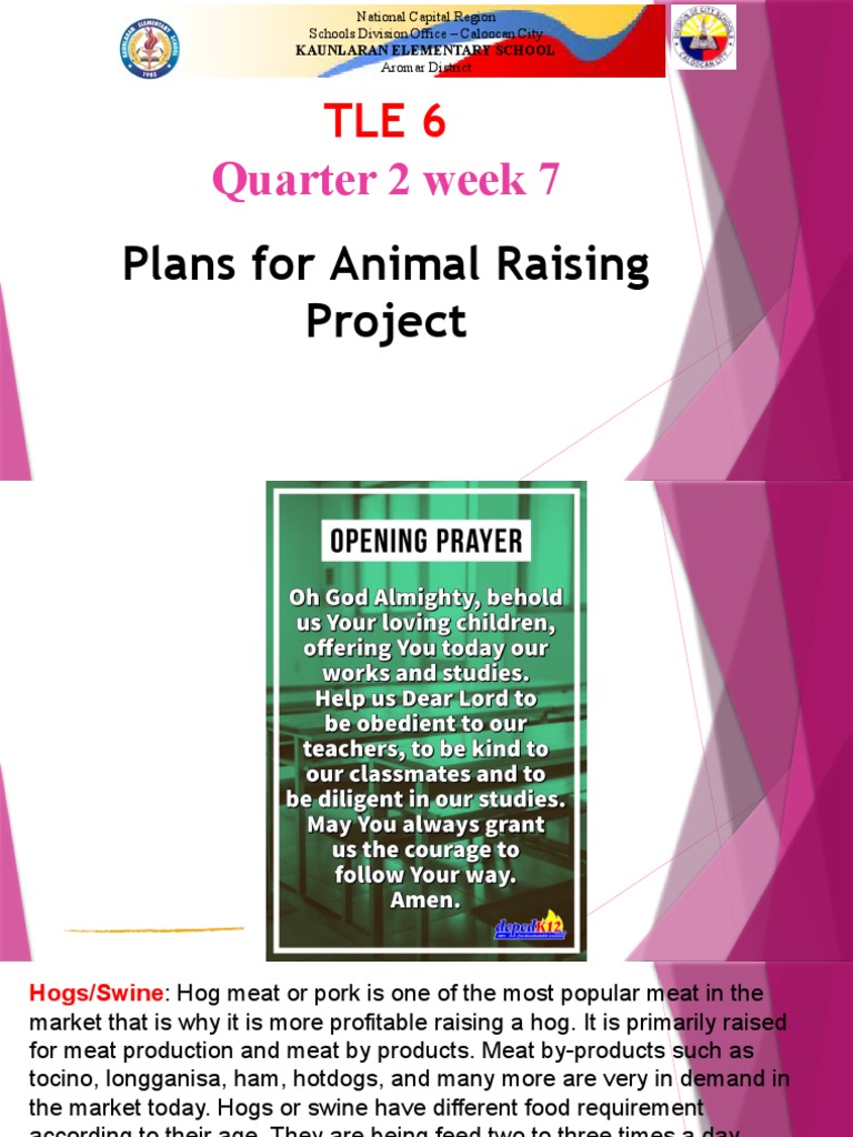 TLE Q2 W7 Online Presentation | PDF | Meat | Goat