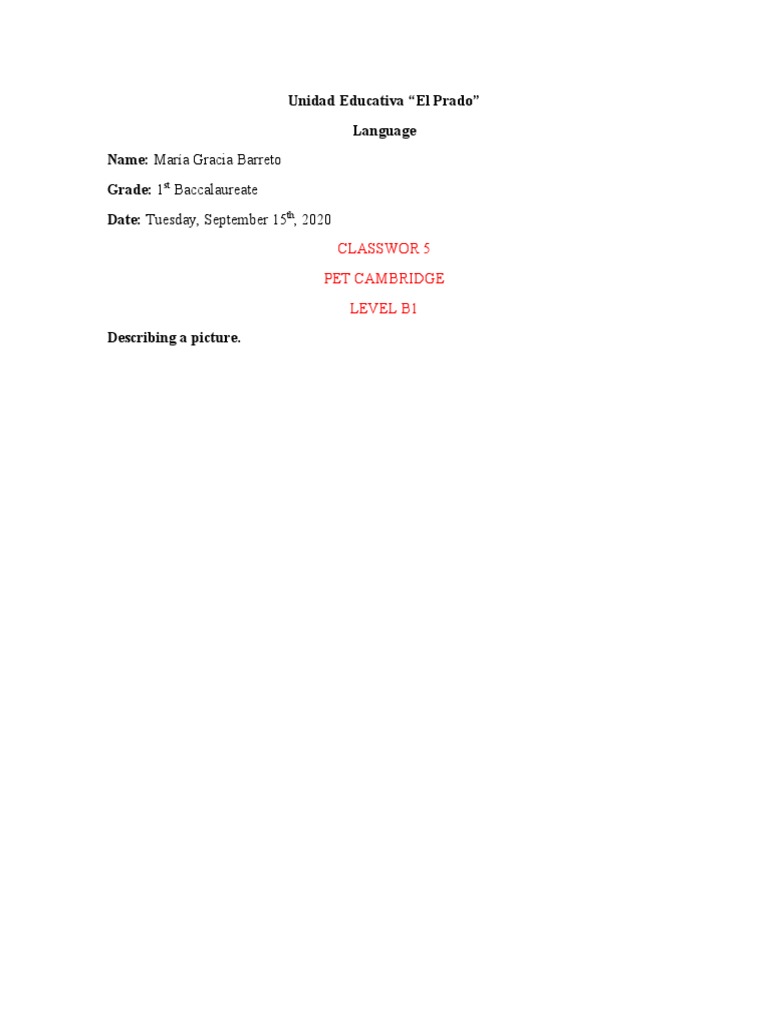 Classwork 5 Ingles Mgb1 | PDF