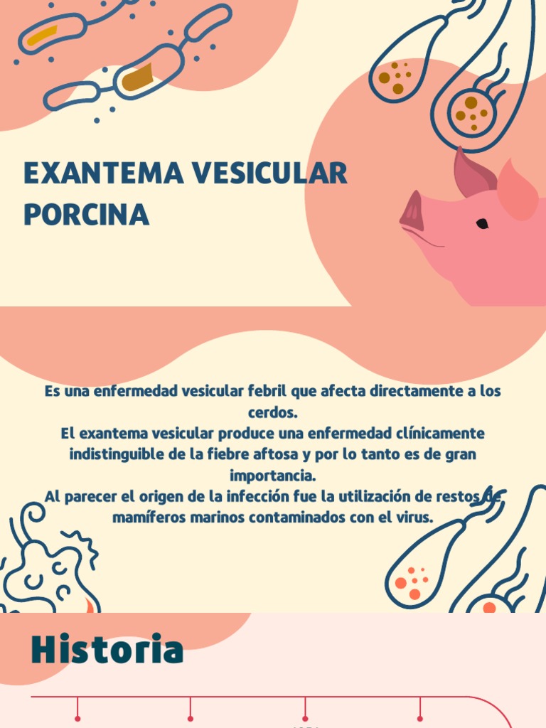 Exantema Vesicular Porcina | PDF | Virus | Especialidades Medicas