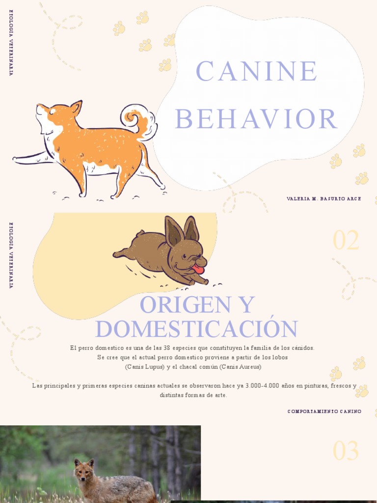 Comportamiento Animal Perros | PDF | Parto | del perro