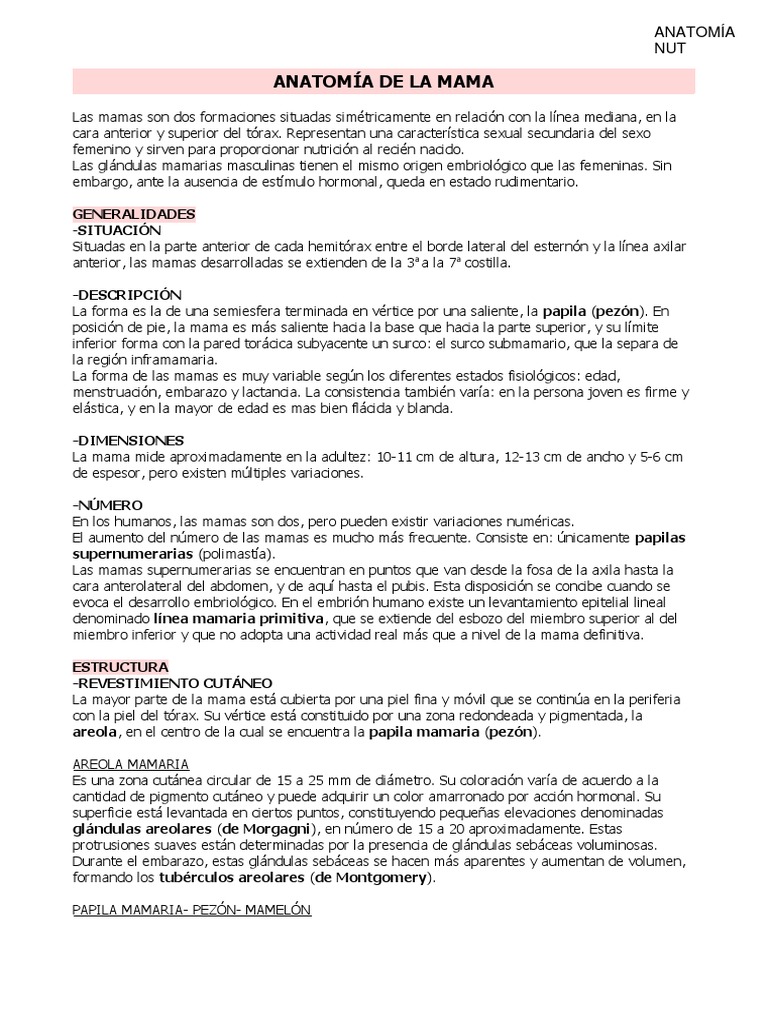 Anatomía de La Mama | PDF | Pecho | Sistema linfático