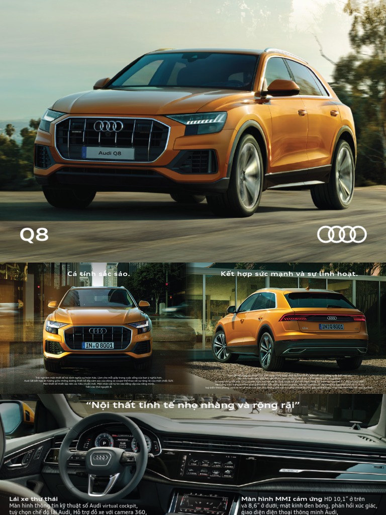 Audi Q8 Catalog VN | PDF