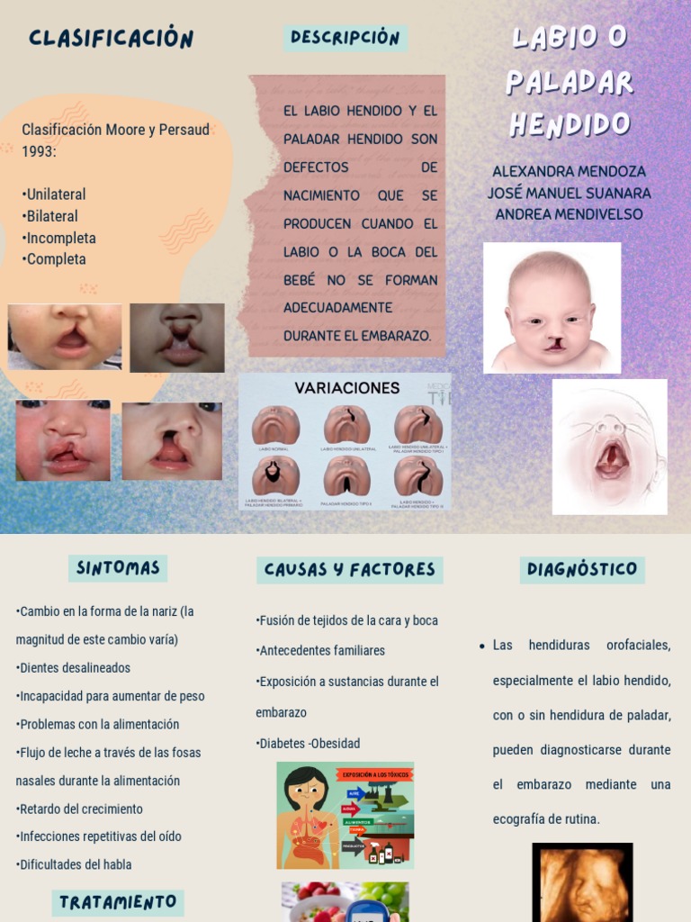 Clasificación del Labio y Paladar Hendido | PDF