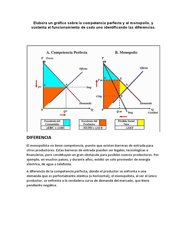 Elabora Un Gráfico Sobre La Competencia Perfecta y El Monopolio | PDF