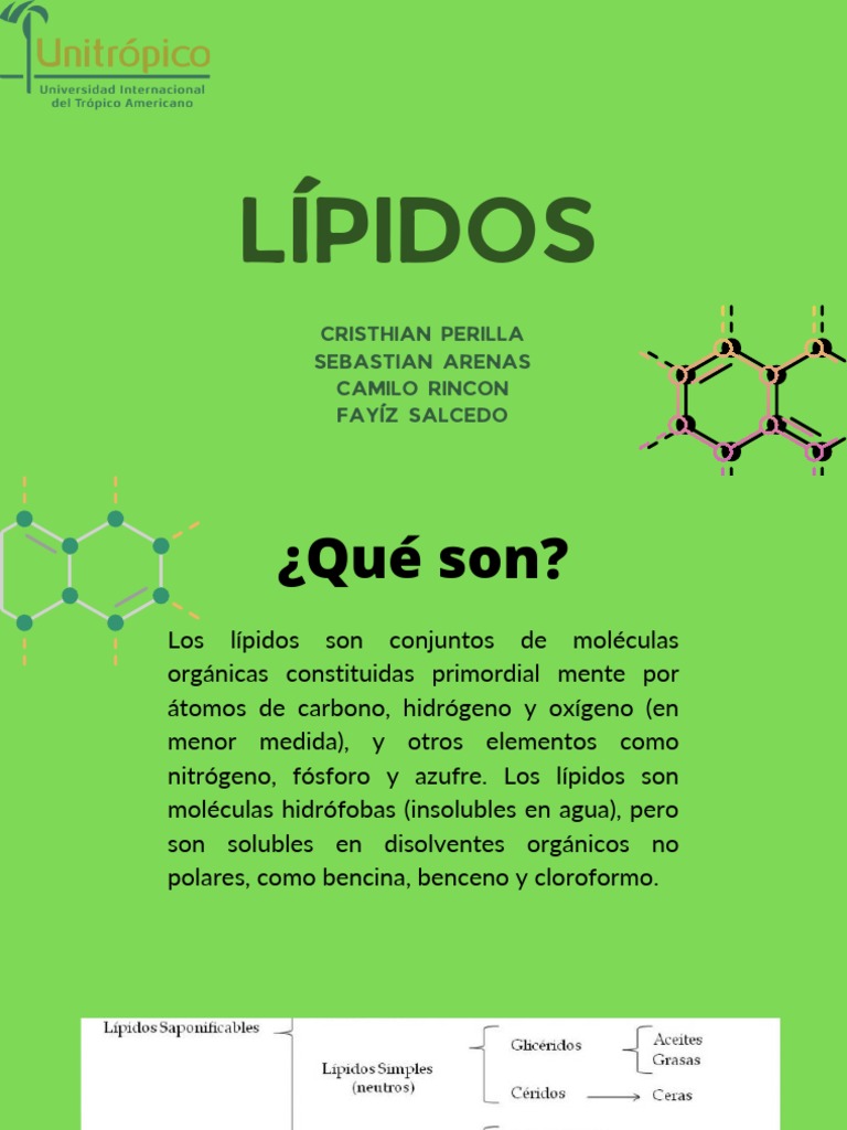 LIPIDOS | PDF | Lípido | Ácido graso