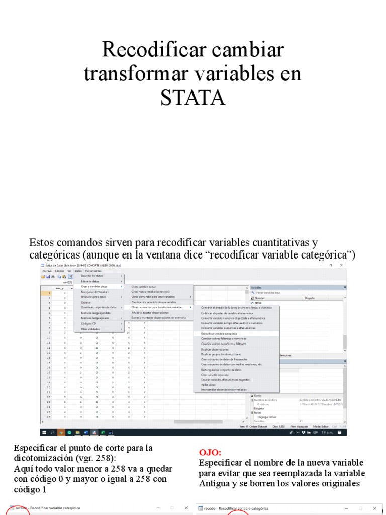 Recodificar Cambiar Transformar Variables en STATA | PDF
