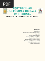 Complexión Corporal | PDF