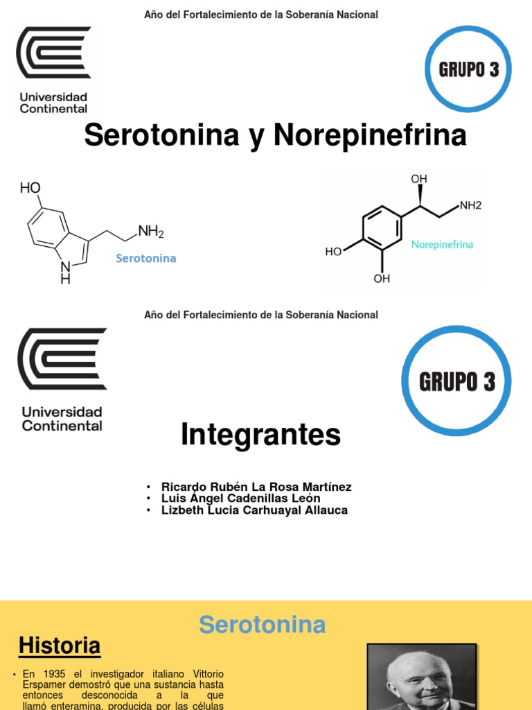 Serotonina y Norepinefrina. | PDF | Serotonina | Norepinefrina