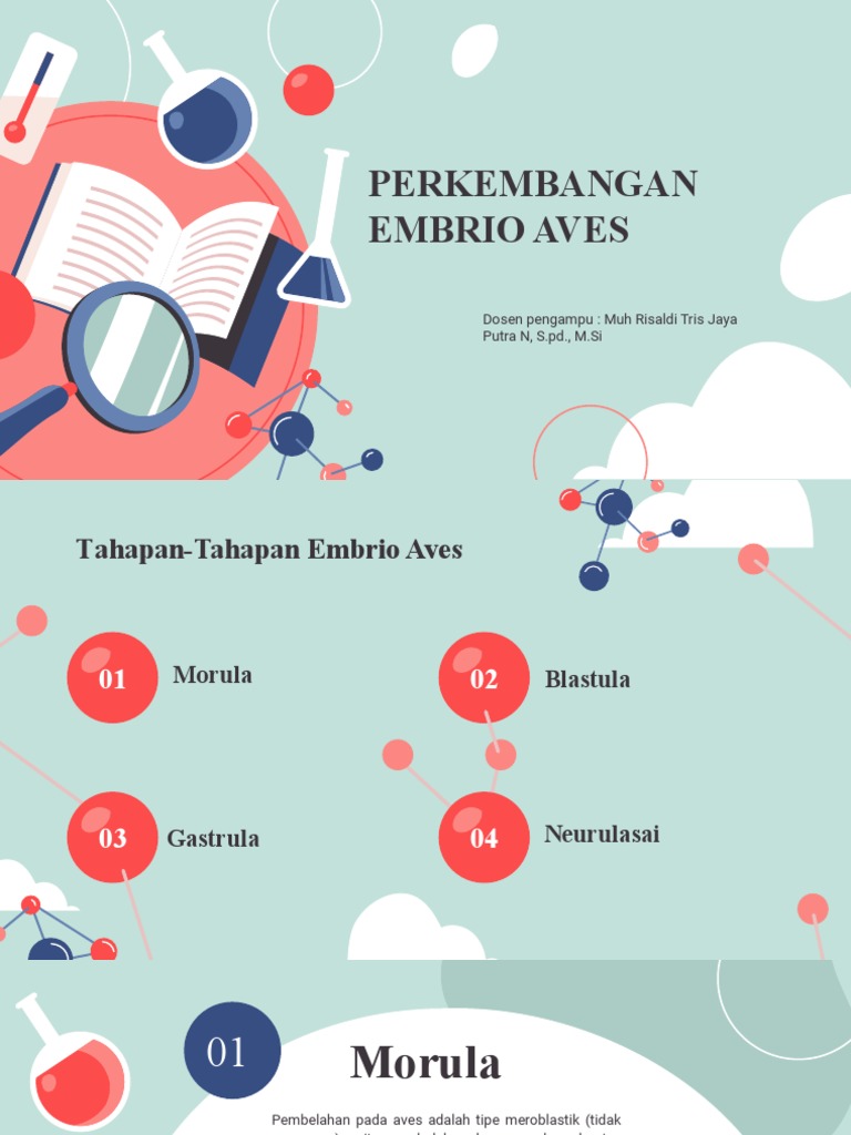 Tahapan Embrio Aves: Morula hingga Gastrula | PDF | Kesehatan Holistik