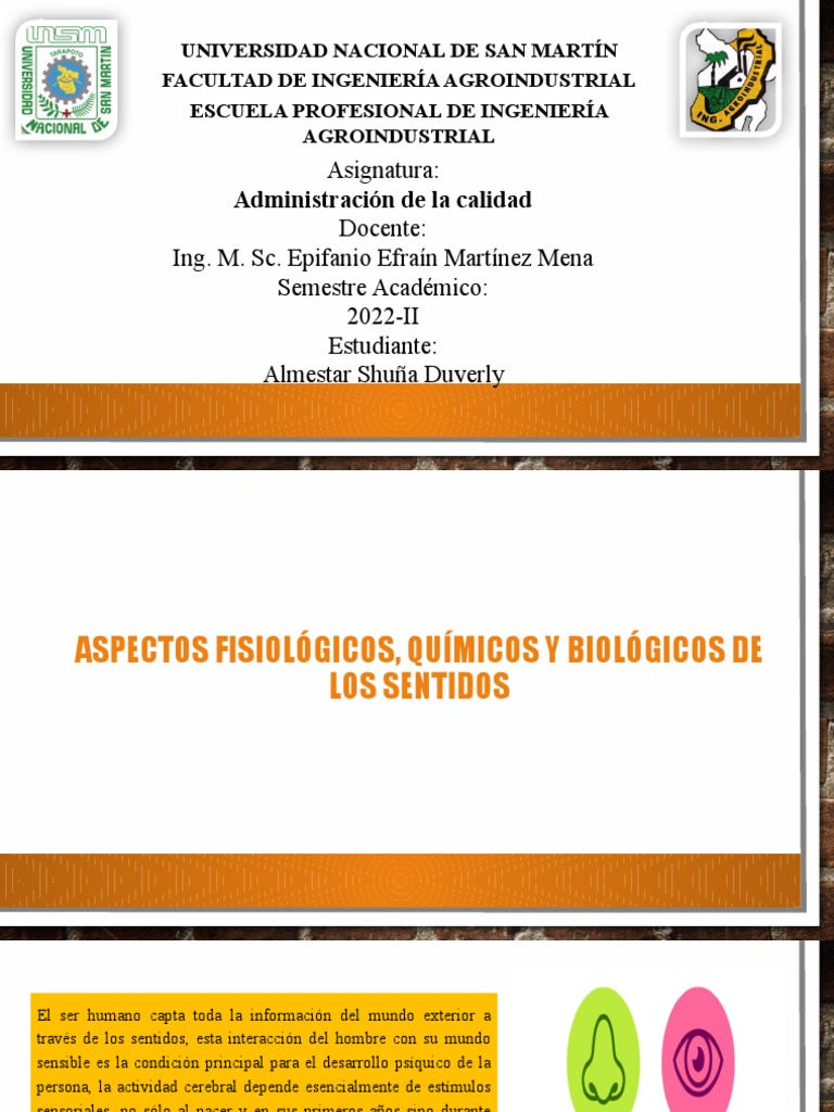 Aspectos Biologicos de Los Sentidos | PDF | Percepción visual | Gusto