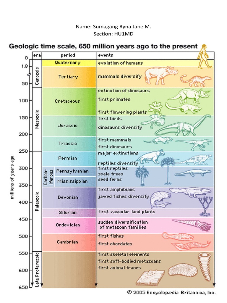 Fauna and Flora Geological Time | PDF