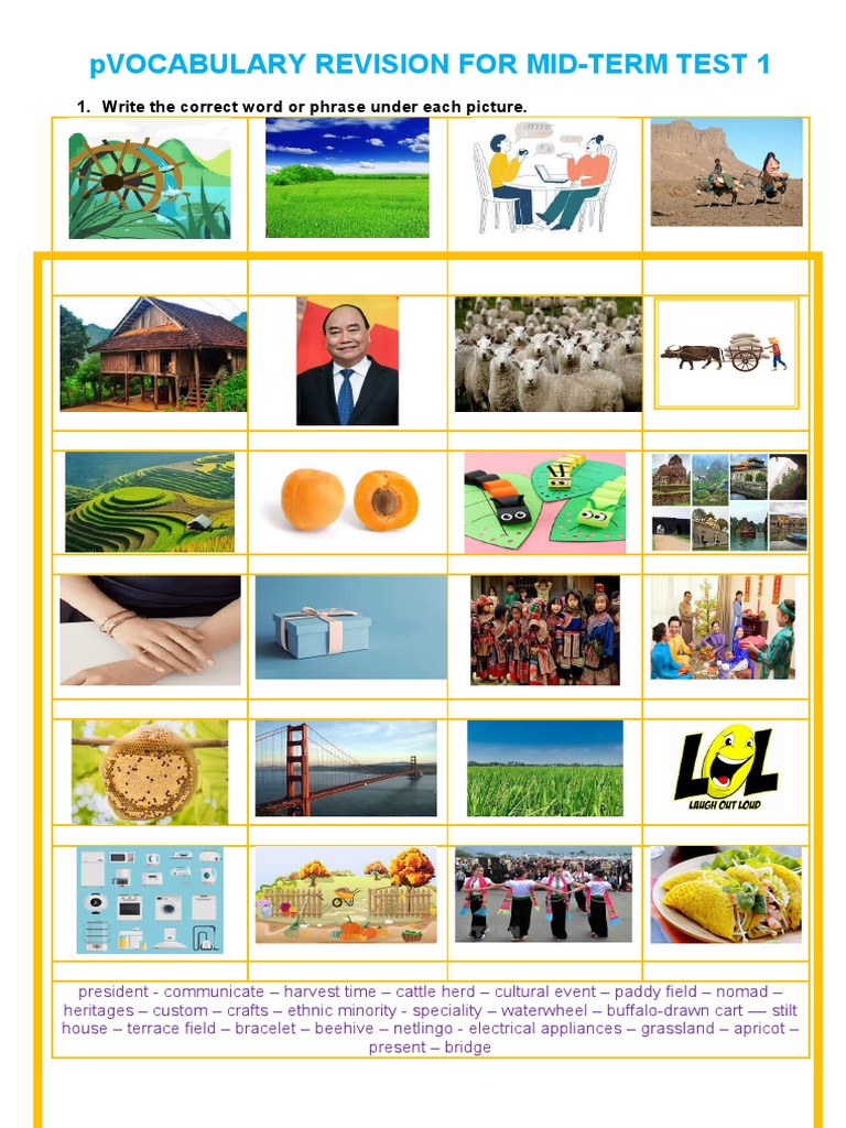 Revision For Mid-Term Test | PDF