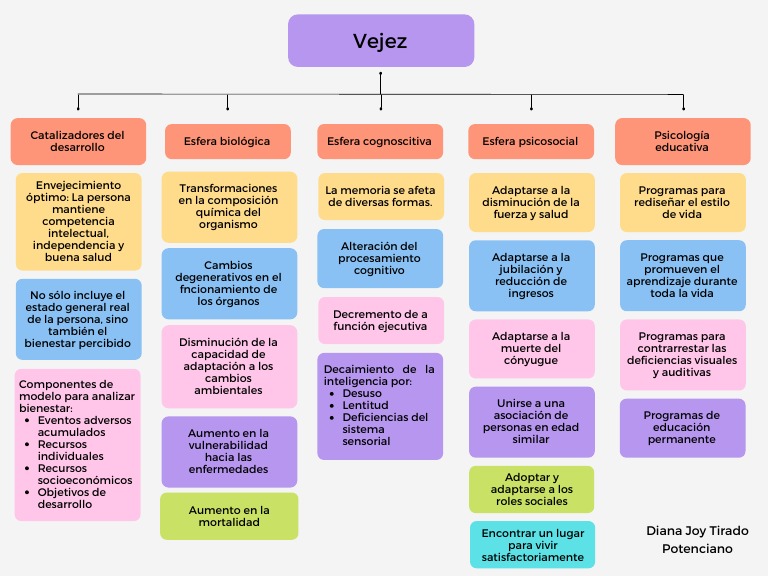 Vejez Mapa Conceptual | PDF | Envejecimiento | Psicología cognitiva