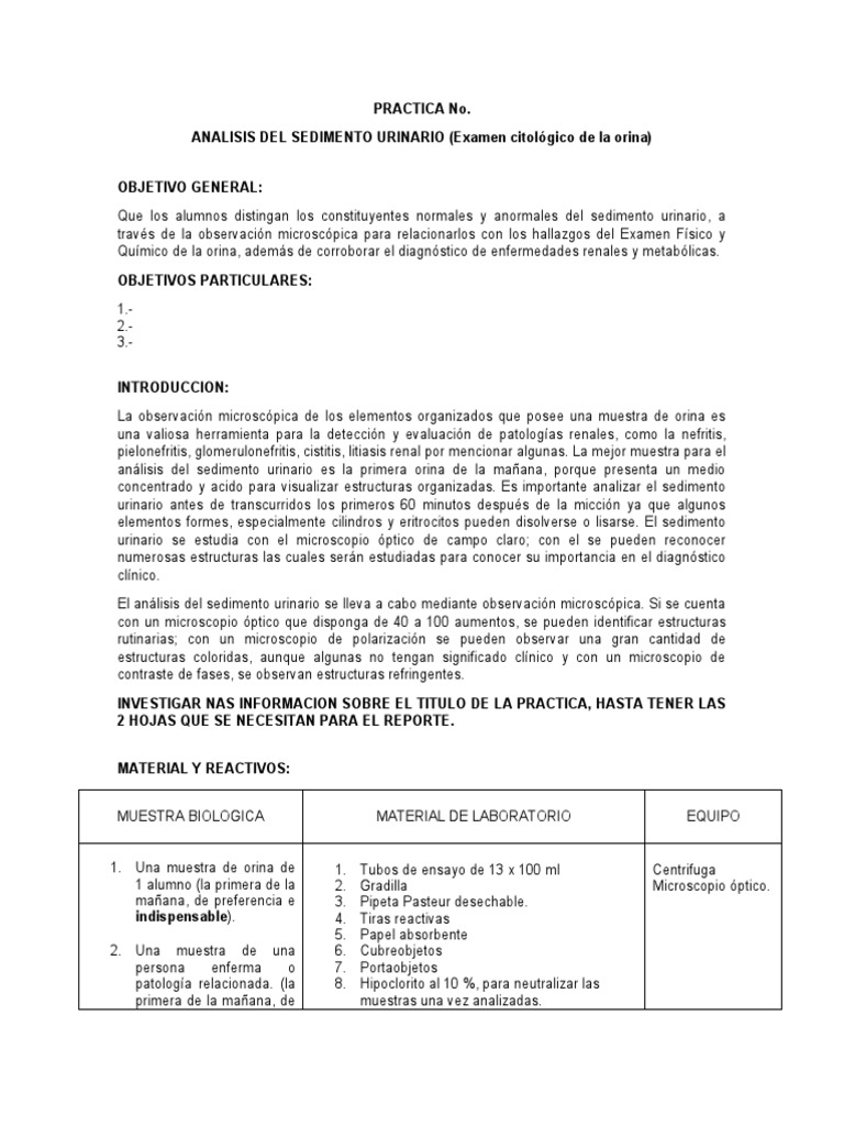 Análisis Microscópico del Sedimento Urinario | PDF | Urología ...