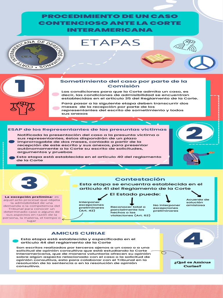 Infografía Procedimiento Ante La Corte IDH | PDF | Amicus Curiae | Gobierno