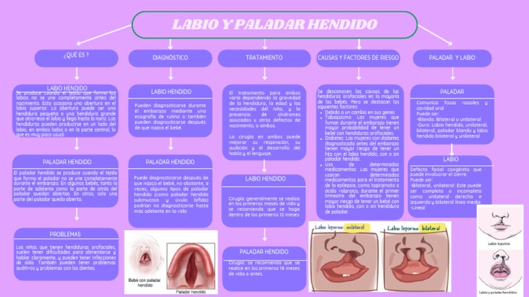 Causas y Tratamiento de Labio y Paladar Hendido | PDF | Epidemiología ...